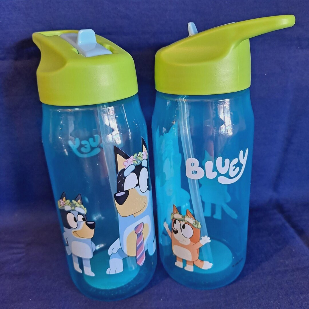 Lot 2 Ludo Studios BLUEY Kids Travel WATER BOTTLES Drink Lid Straws Zak ...