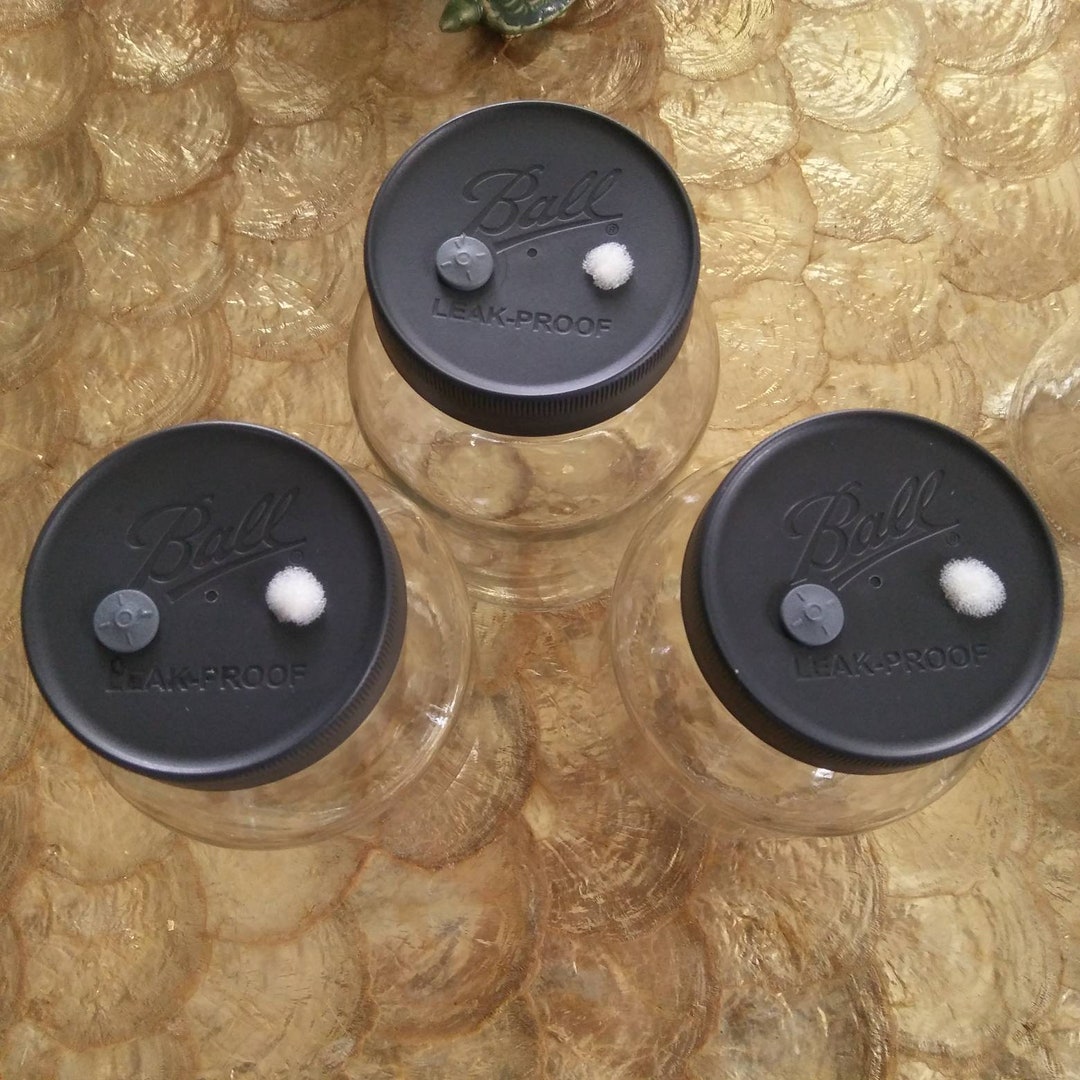 Spawn Jar and Lid Complete Set of 3 (empty)! O Fungi U - Etsy