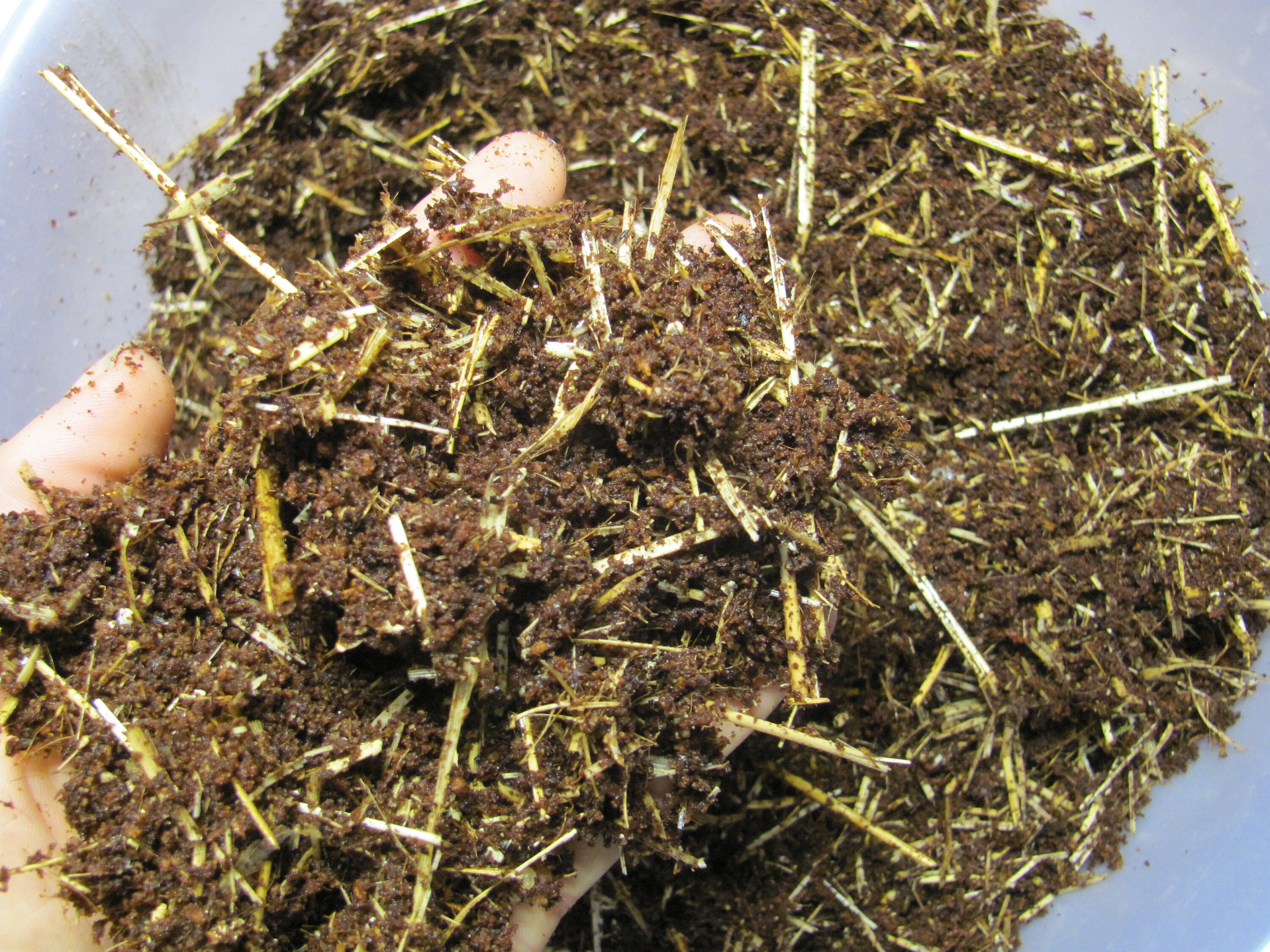 All-in-one Cube Mushroom Substrate Kit 5lbs O Fungi U - Etsy