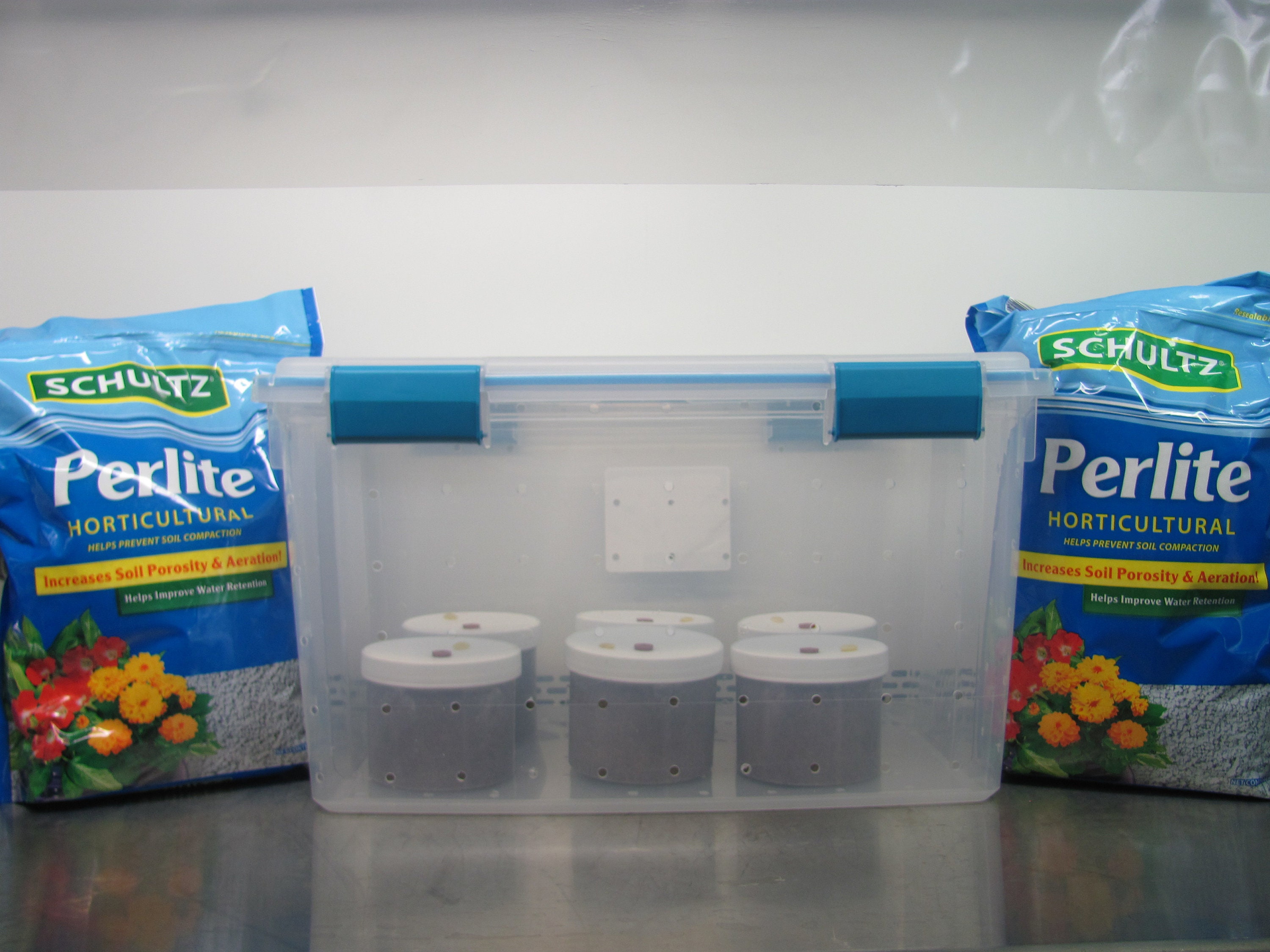 Mushroom Fruiting Chamber SGFC Style - Etsy