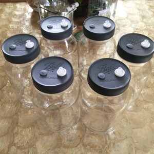 Spawn Jar and Lid Complete Set of 3 (empty)! O Fungi U - Etsy