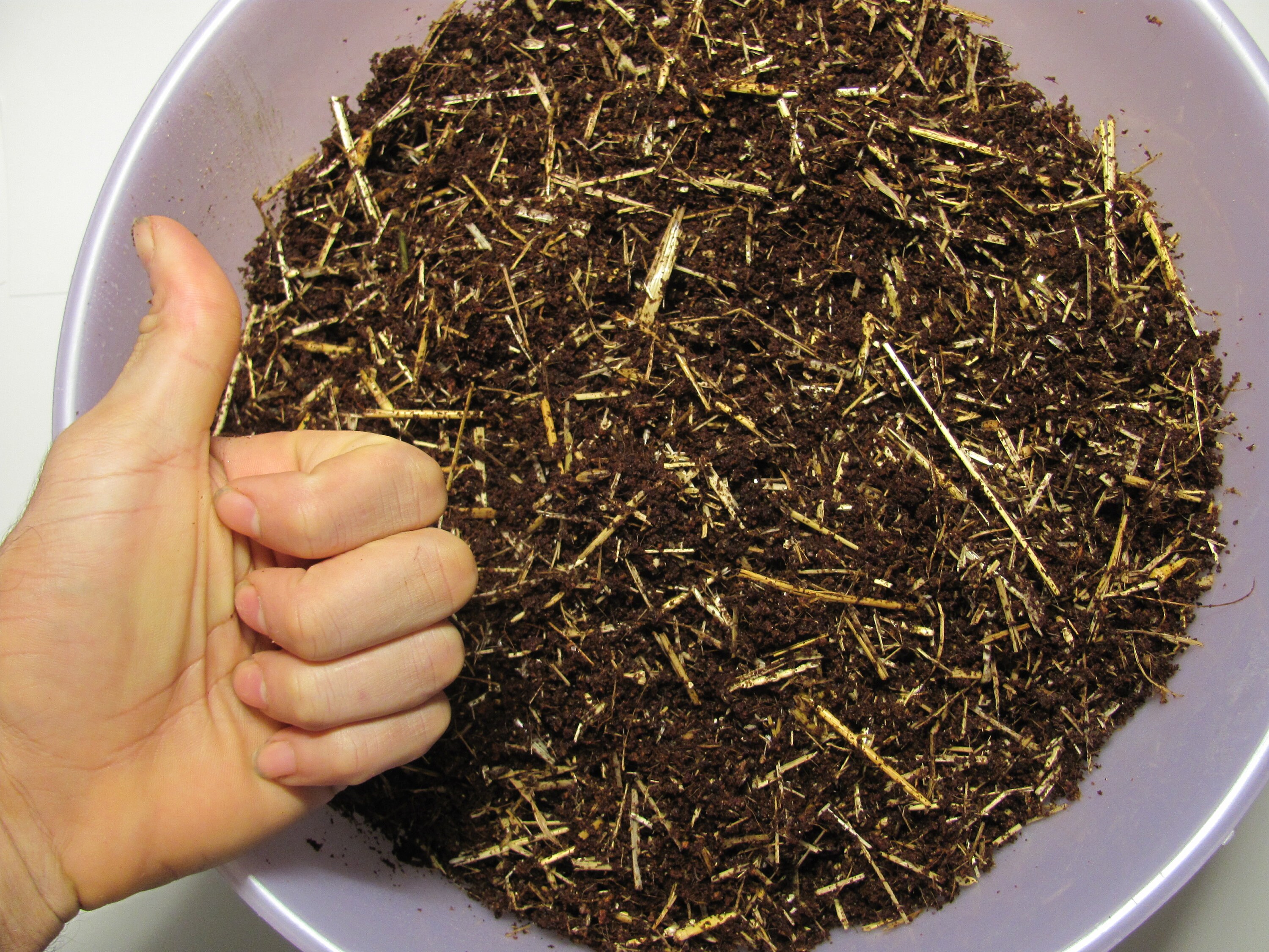 All-in-one Cube Mushroom Substrate Kit 5lbs O Fungi U - Etsy