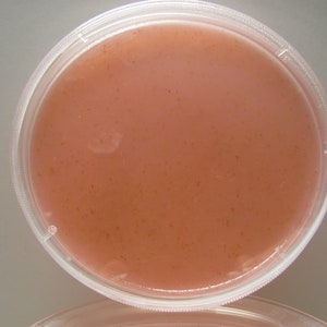 Agar Culture Plate 5 Pack 100mm X 20mm- O Fungi U - Etsy