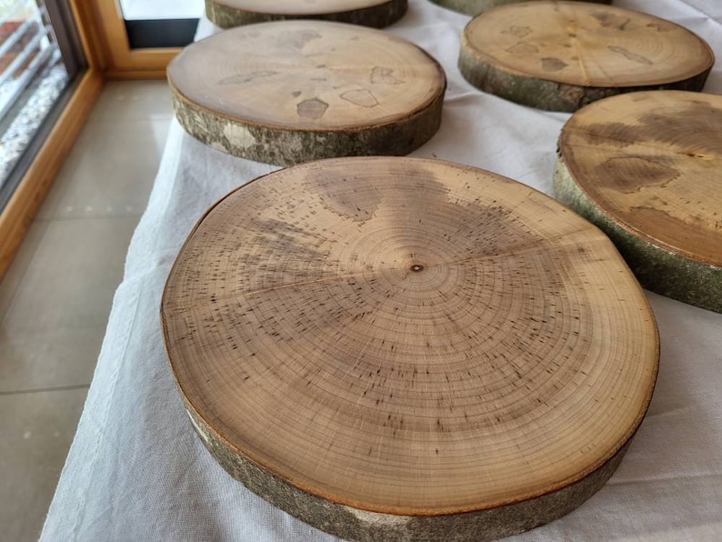 Maple Wood Disc, Tree Disc, 24 Cm, Finely Sanded Oiled, Wedding ...