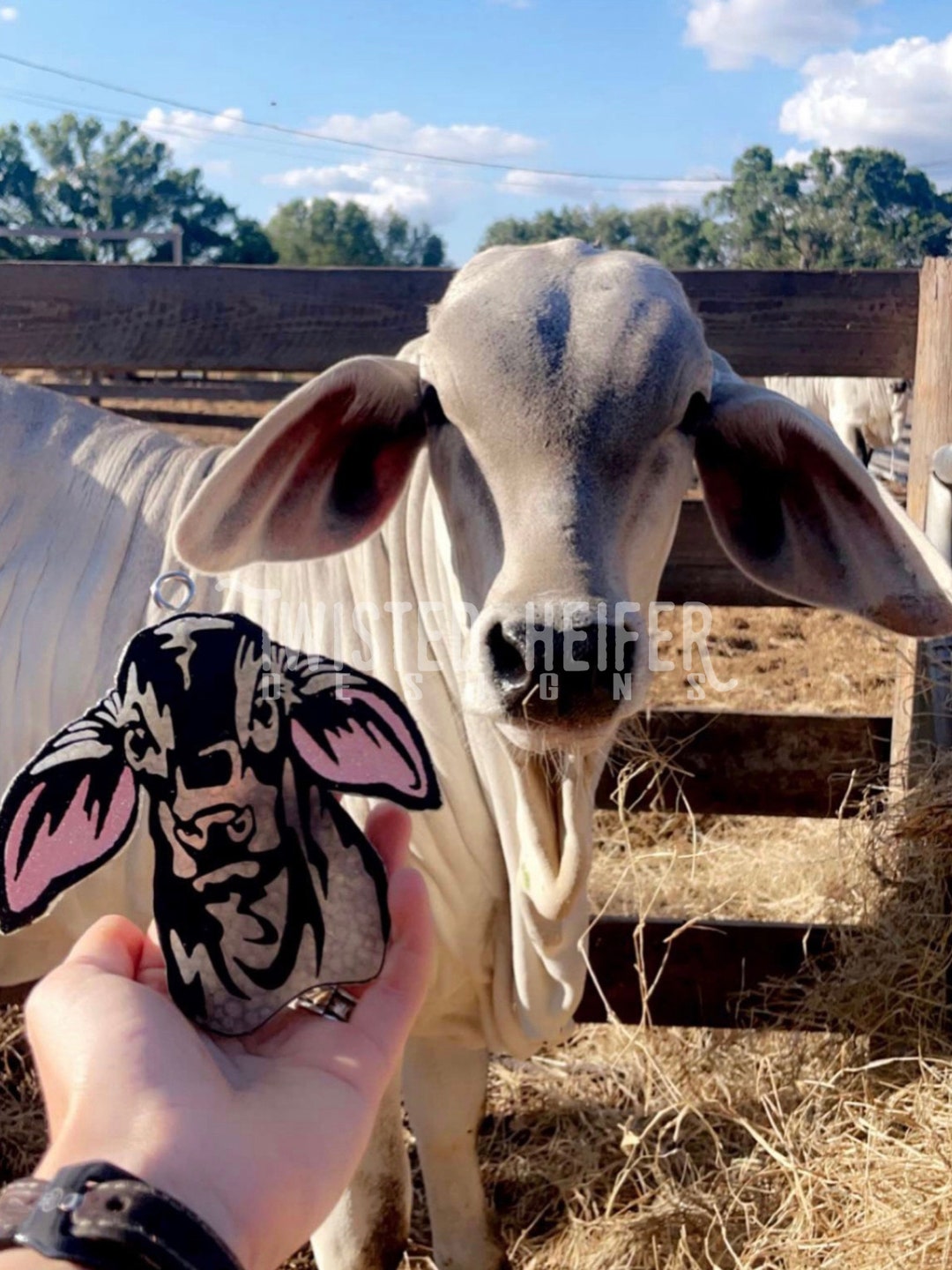 BABY BRAHMAN CALF Freshie - Etsy