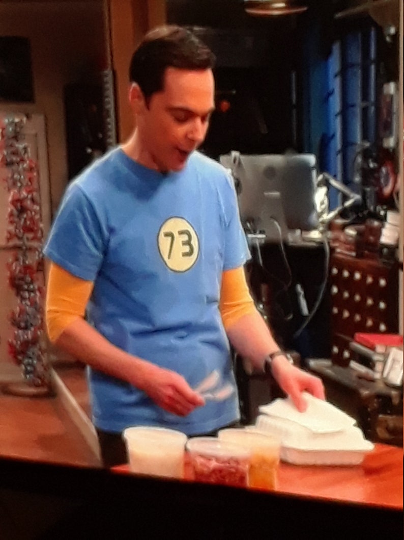 Sheldon Cooper 73 es el mejor número Big Bang Fan Gift - Etsy España