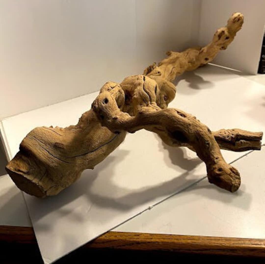 Burly Large Driftwood ~ Wall Hanging ~ Reptile/turtle Aquarium - Air ...