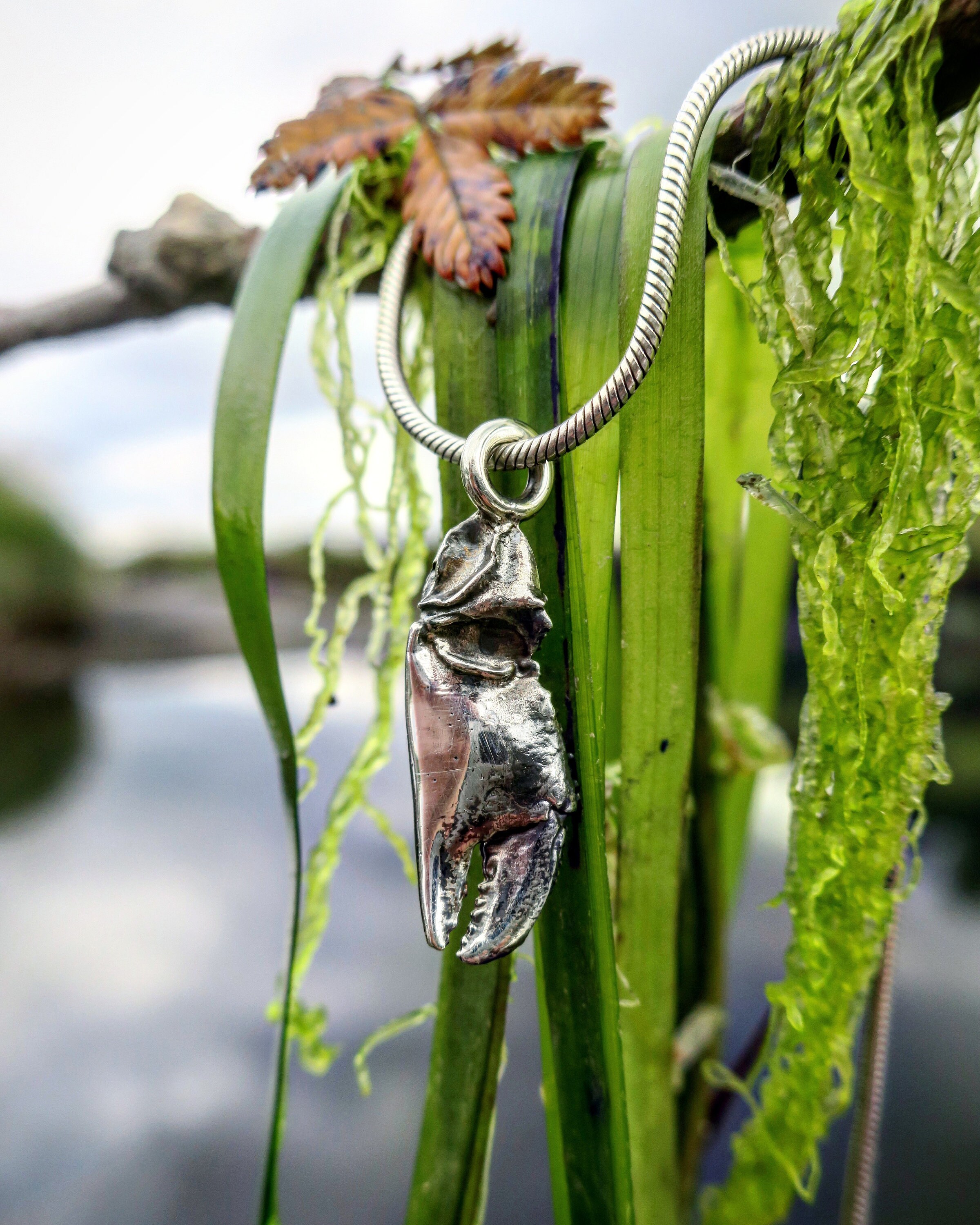 Crab Claw Pendant - Etsy