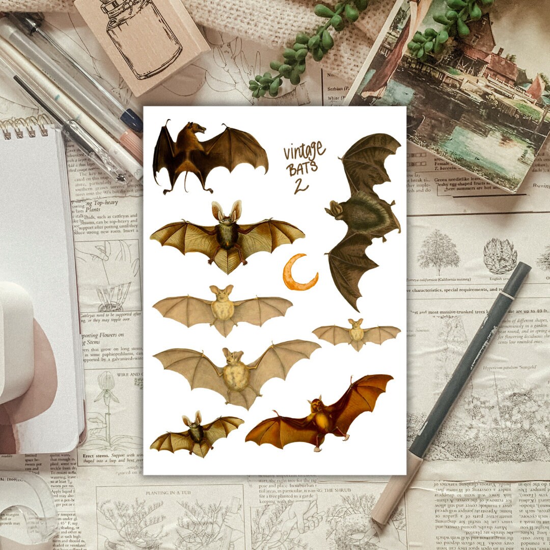 Vintage Bats 2 Sticker Sheet, Aesthetic Vintage Ephemera Stickers for ...