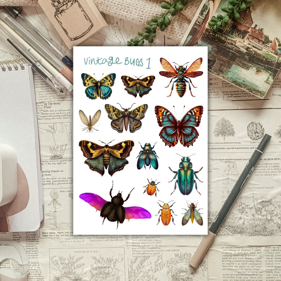 Vintage Bugs 1 Sticker Sheet, Aesthetic Vintage Ephemera Stickers for ...