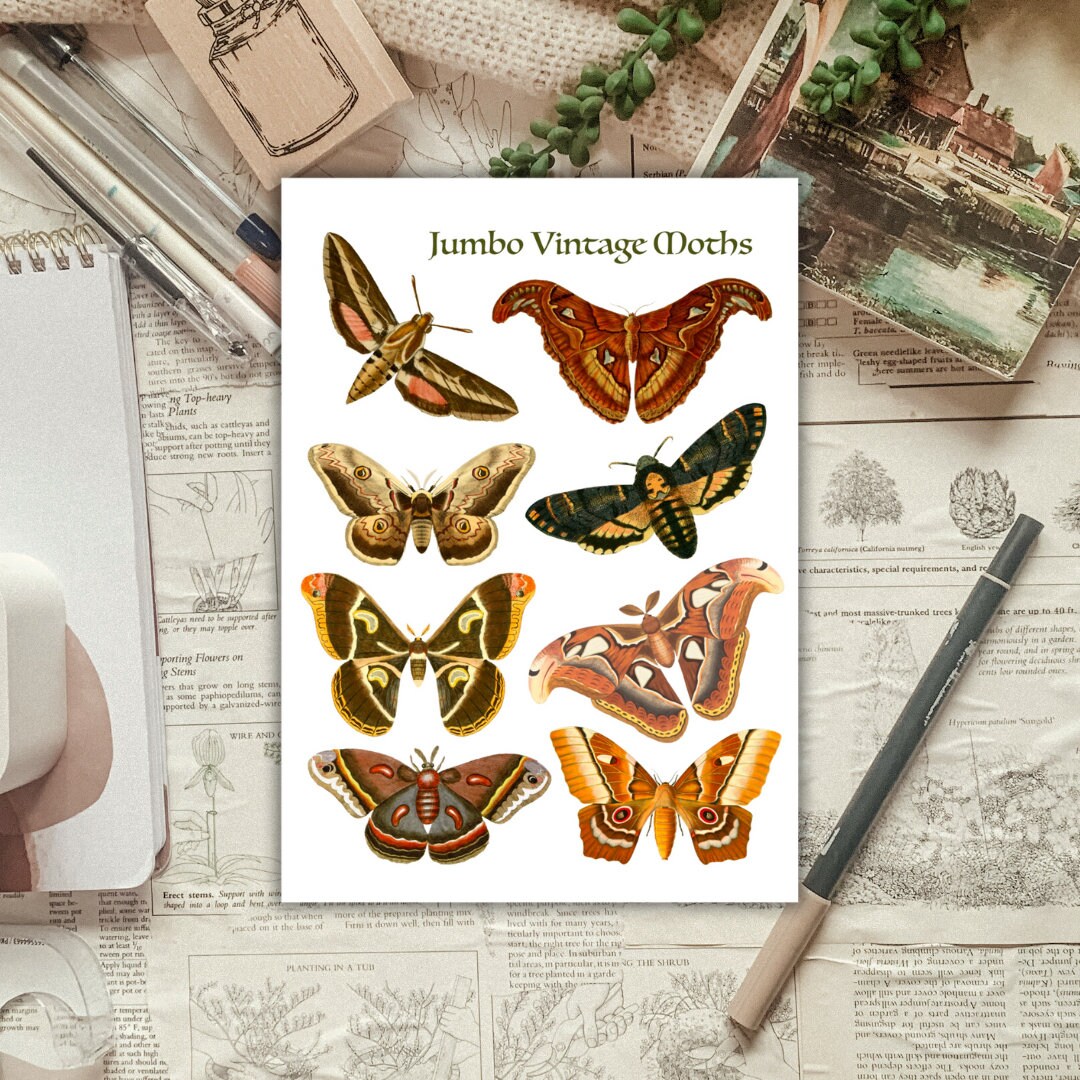 Jumbo Vintage Moths Sticker Sheet, Aesthetic Vintage Ephemera Stickers ...