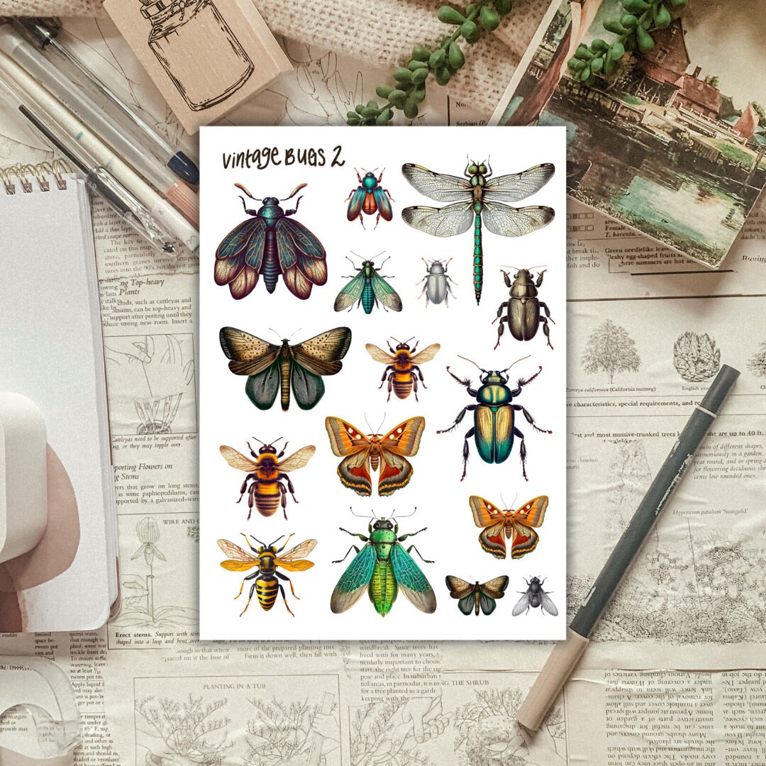 Vintage Bugs 2 Sticker Sheet, Aesthetic Vintage Ephemera Stickers for ...