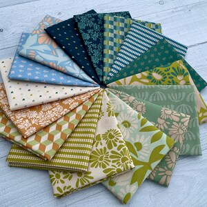 Evolve 16pc Bundles by Suzy Quilts - Etsy