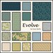 Evolve 16pc Bundles by Suzy Quilts - Etsy