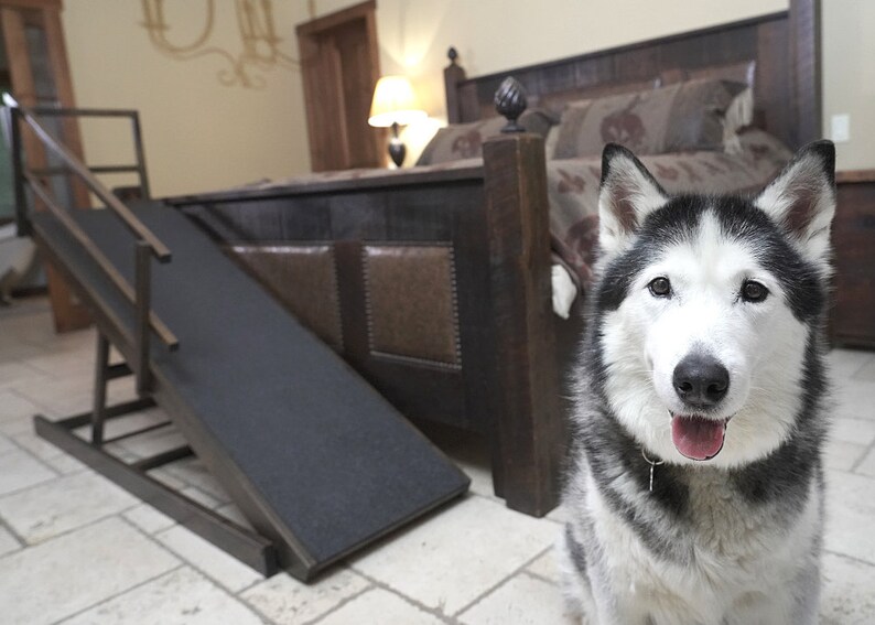 Doggoramps Large Bed Ramp for Big & Medium Dogs Super | Etsy