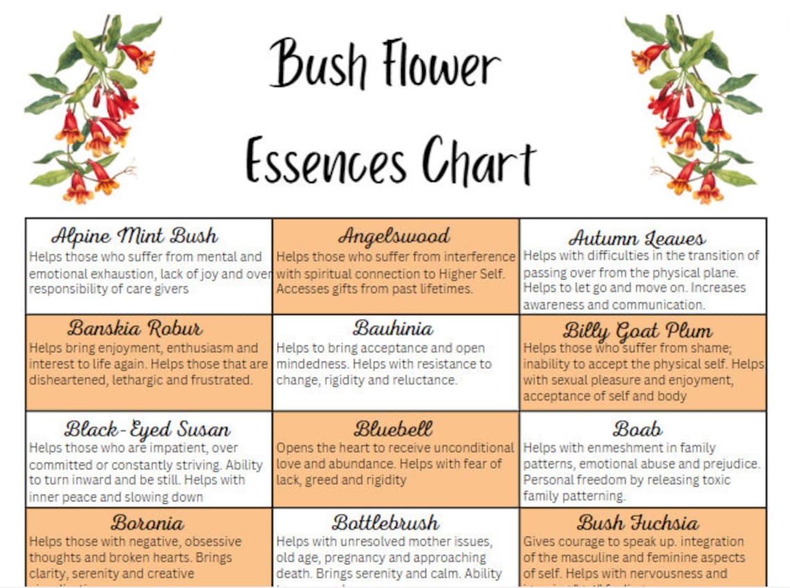 Bush Flower Essence Chart (printable) - Etsy