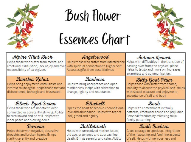 Bush Flower Essence Chart (printable) - Etsy