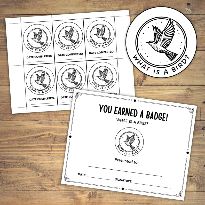 What is a Bird Badge Guide Printable Nature Study Homeschool Curriculum ...