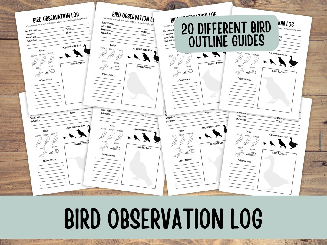 Bird Observation Log - Birdwatching Log - Birding Journal Page ...