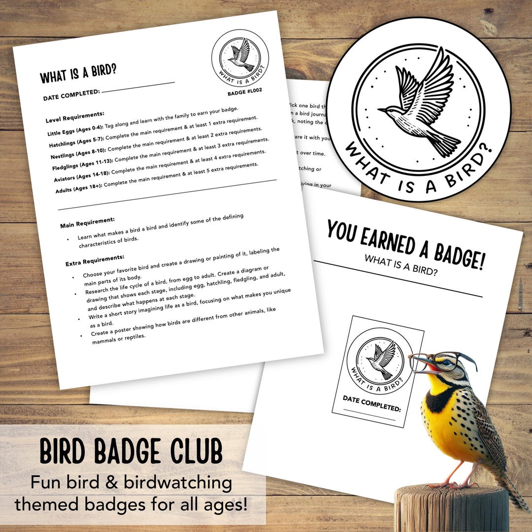 What is a Bird Badge Guide Printable Nature Study Homeschool Curriculum ...