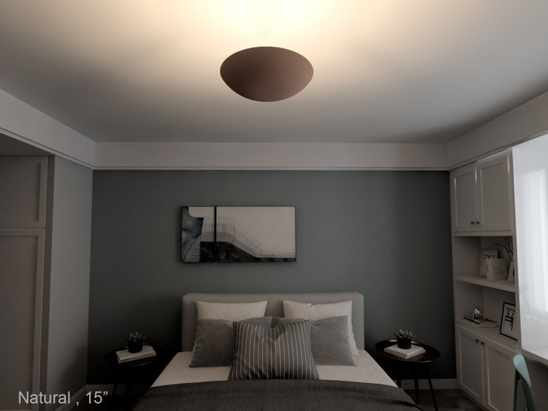 Contemporary Eclipse Ceramic Ceiling Light, Clean Low Profile Ambient ...