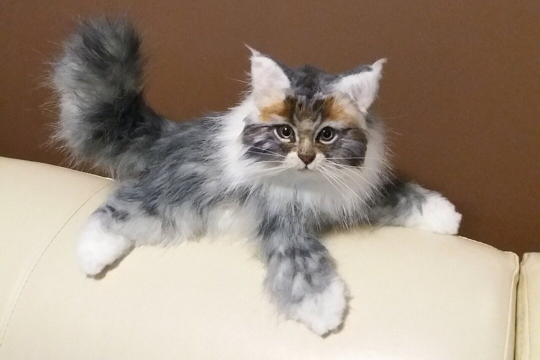 Handmade Kitten Made of Worsted Wool and Faux Fur. Realistic Looking ...
