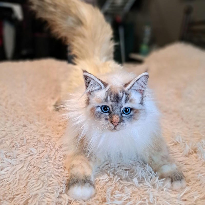 Realistic Lifelike Kitten - Etsy