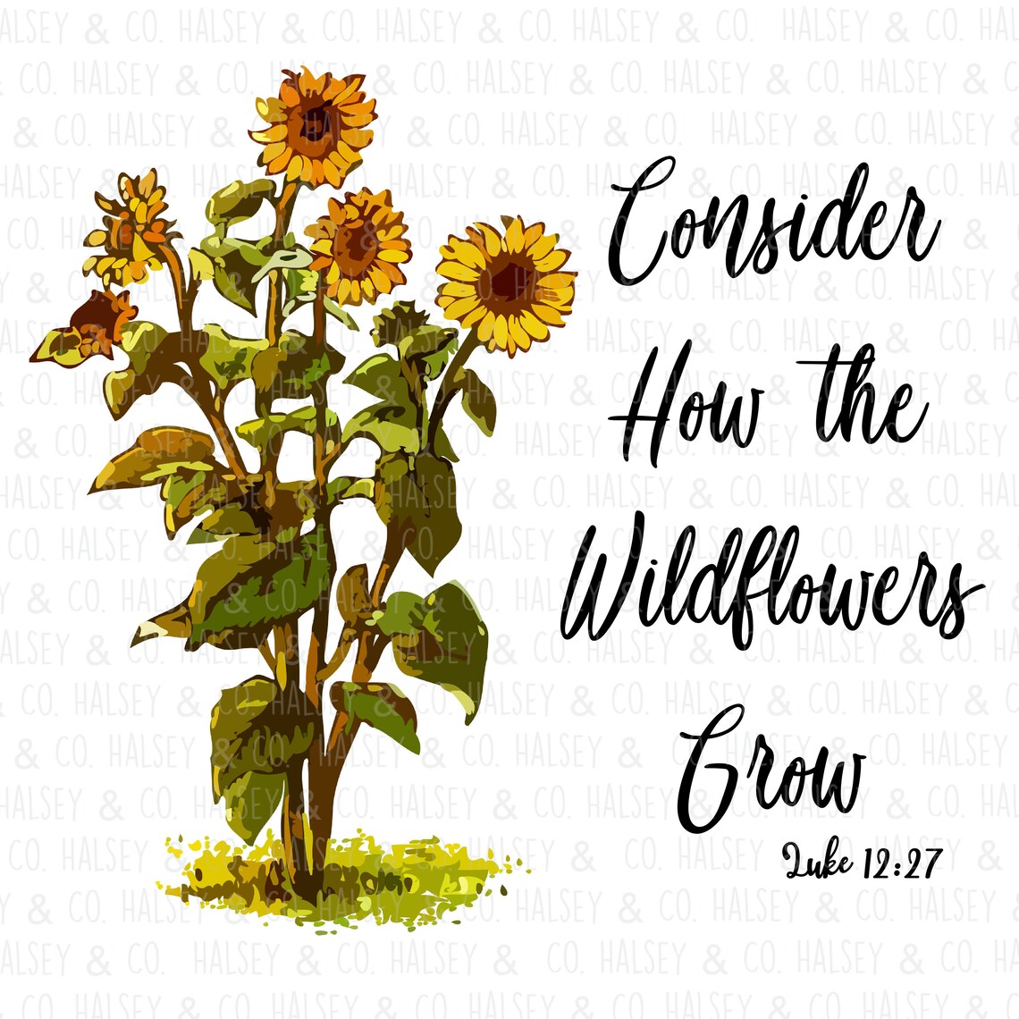 Consider How the Wildflower Grow, Biblical, Christian, Luke, Sunflower ...