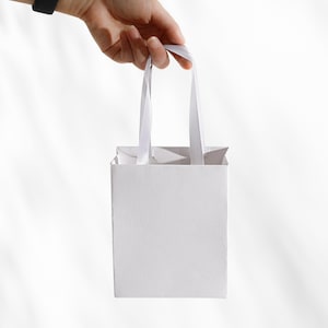 Customizable Paper Gift Bag, Eco-friendly Packaging, Personalized Logo ...