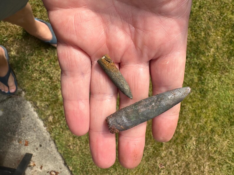 WWII Spitfire Bullet Tips (.303 & .50 Cal) in Display Case -items Can ...