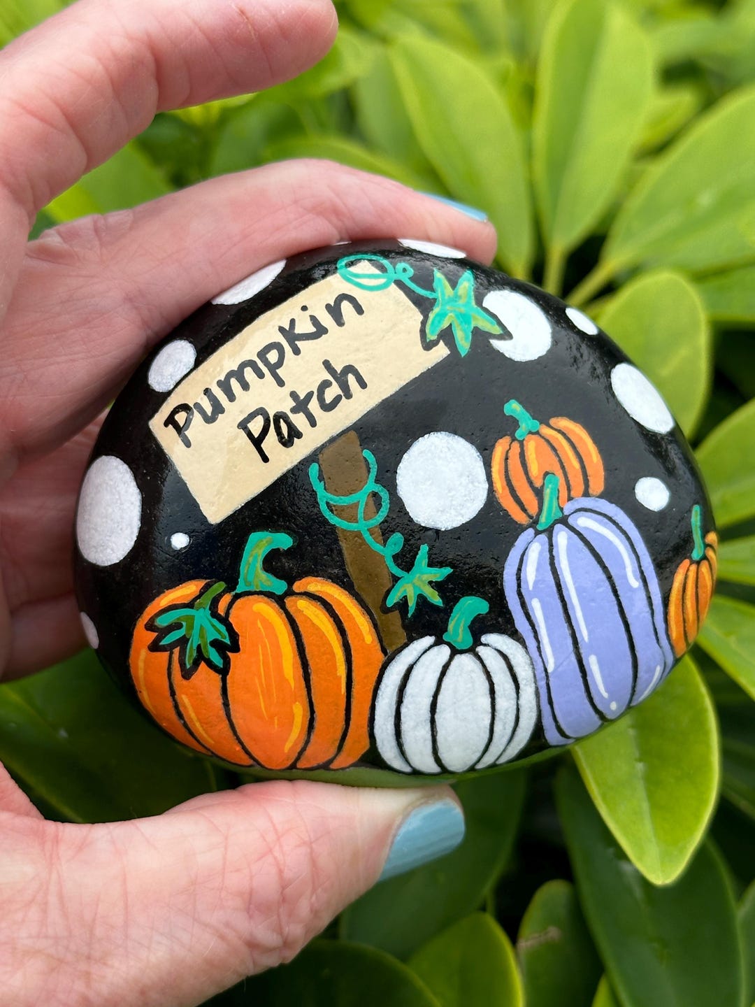 Fall Decor,pumpkin Patch,pumpkin Painted Rock,harvest,painted Rock ...