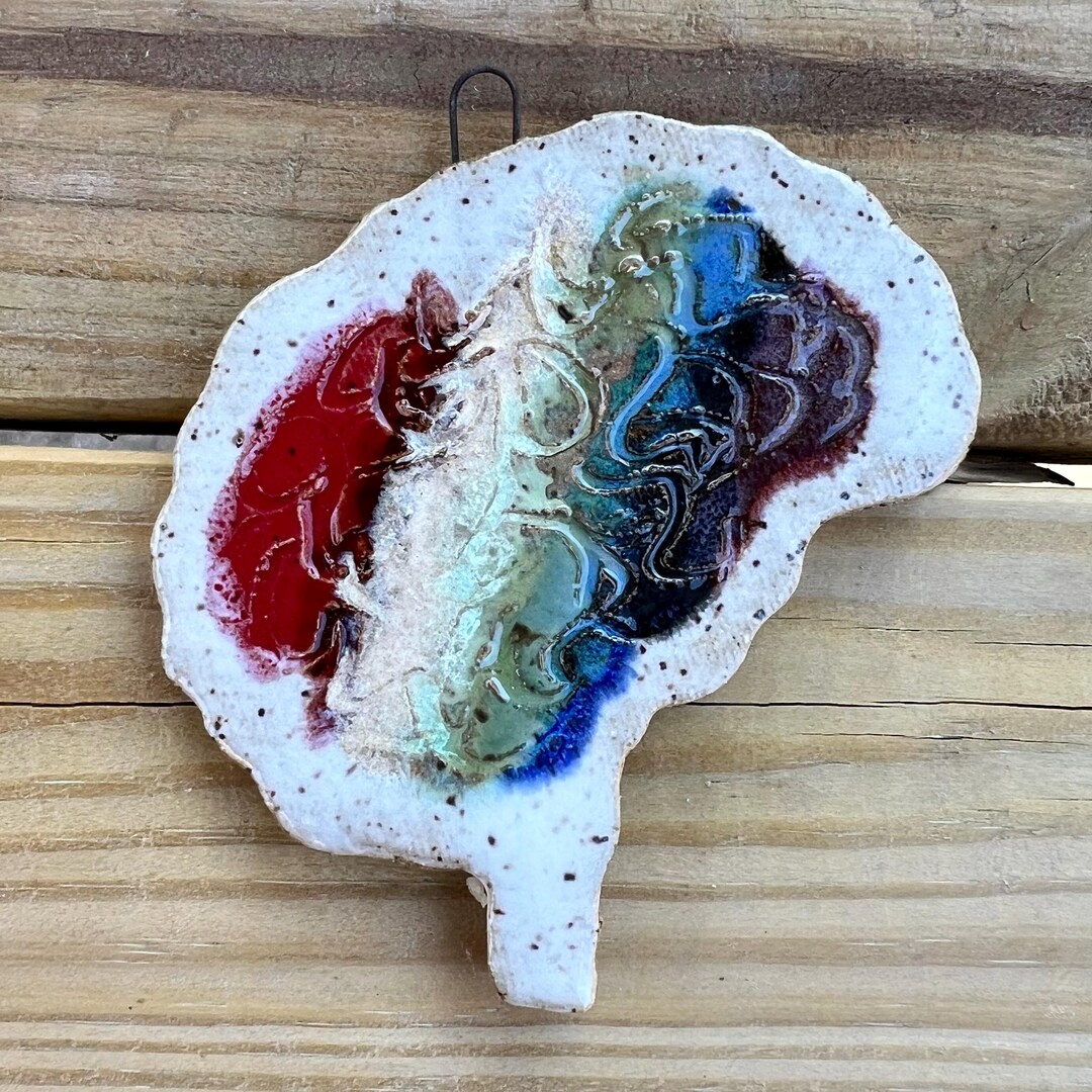 Rainbow Brain Ornaments - Etsy