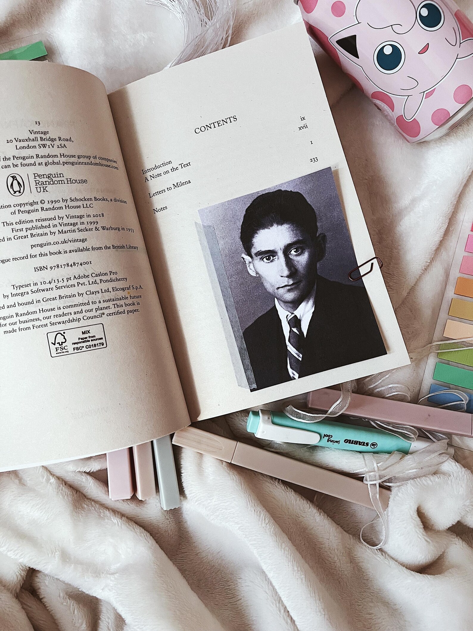 LETTERS TO MILENA by Franz Kafka Annotated Books Custom Annotated Books ...