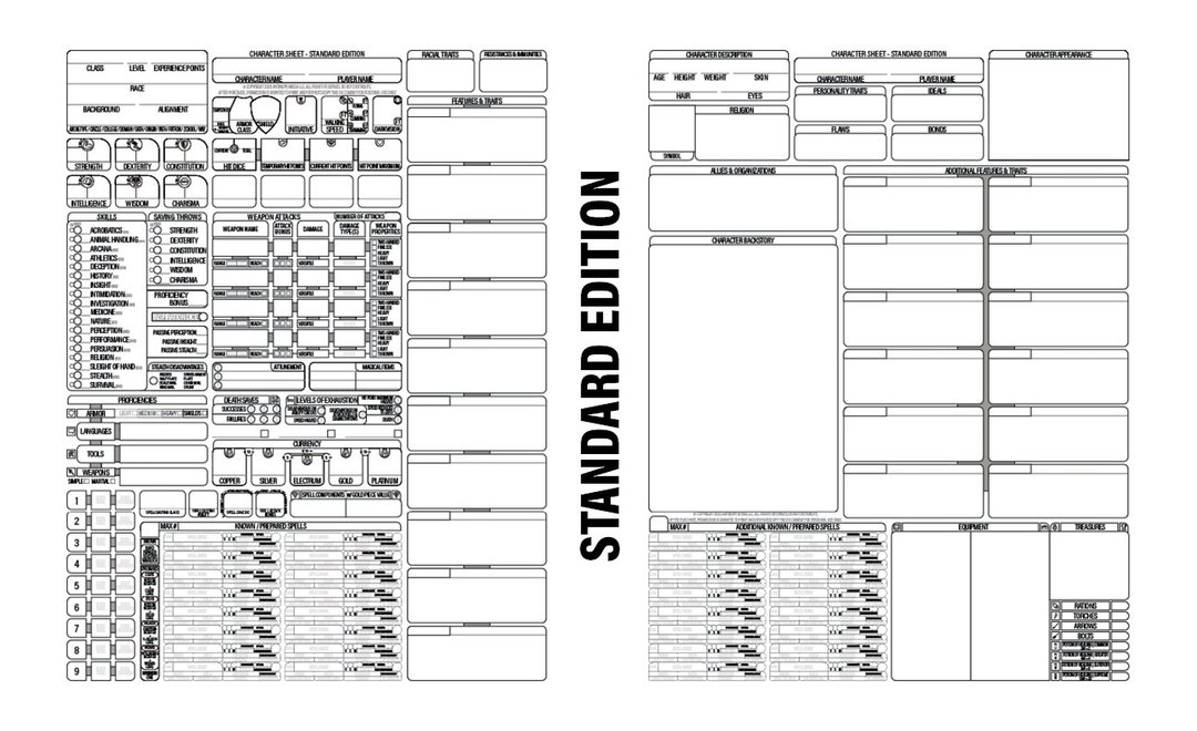 2020 Character Sheets: Five Sheet Edition - Etsy