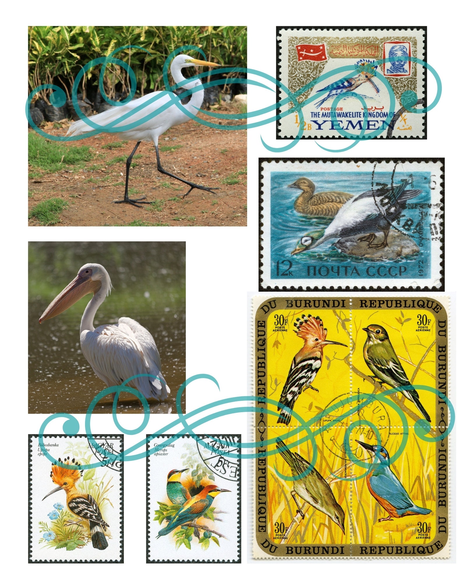 Digital Bird Images Printable Files Digital Files Journal - Etsy