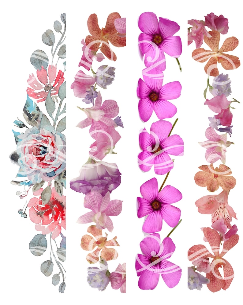 Decorative Page Borders, Printable Borders, Digital Page Borders ...