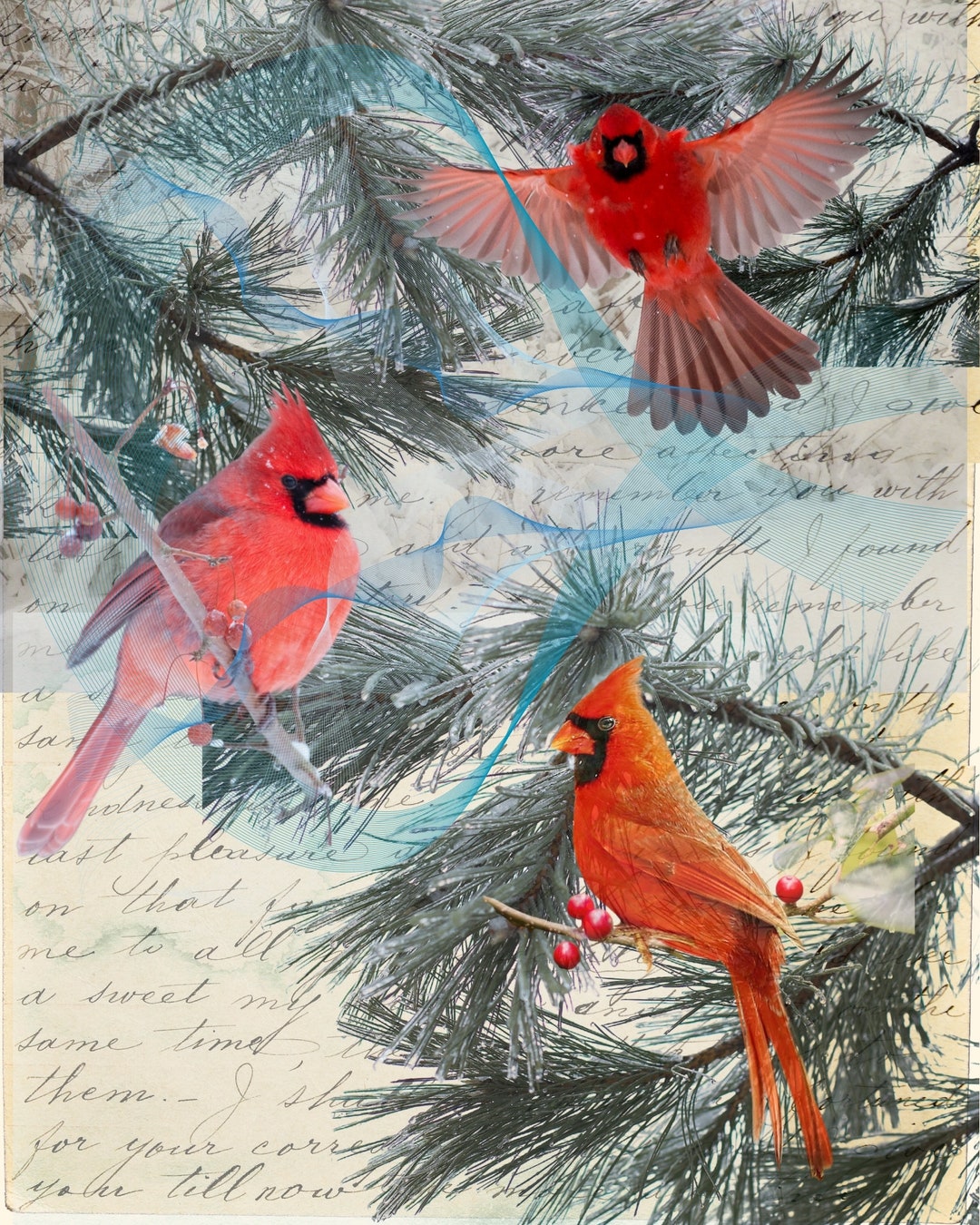 Digital Cardinal Background Pages, Journal Background Papers, Printable ...