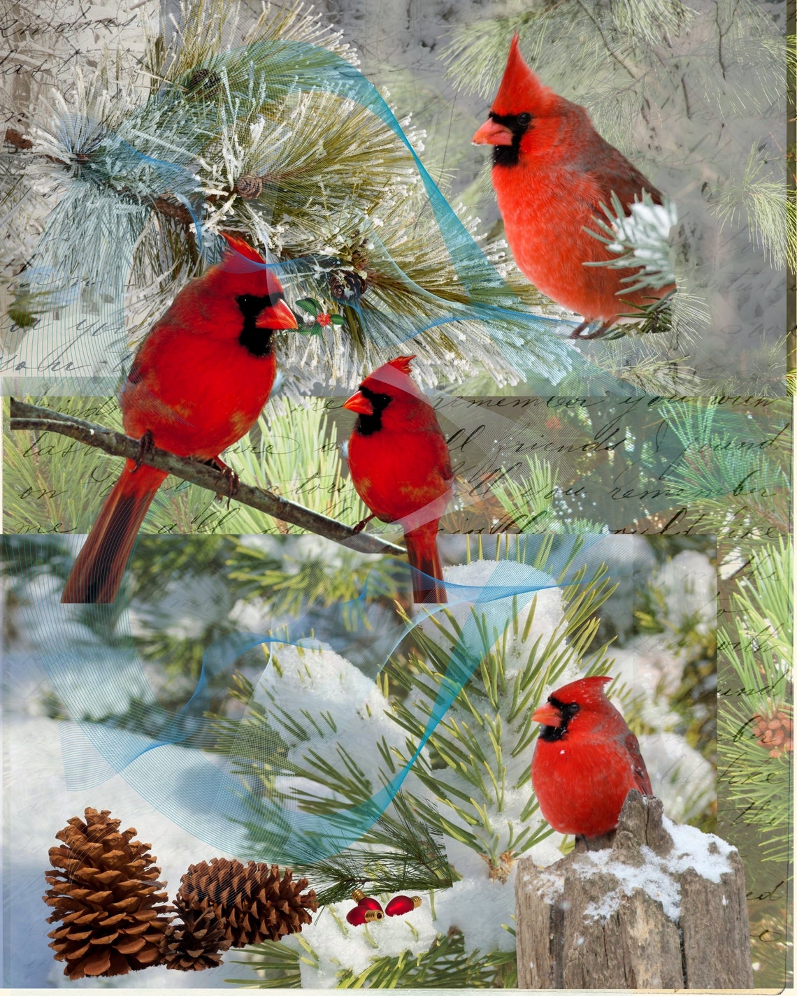 Digital Cardinal background pages Journal background papers | Etsy