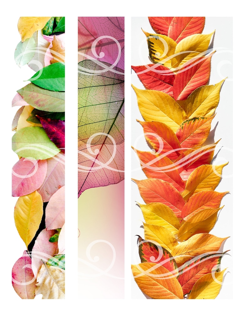 Decorative Page Borders, Printable Borders, Digital Page Borders ...
