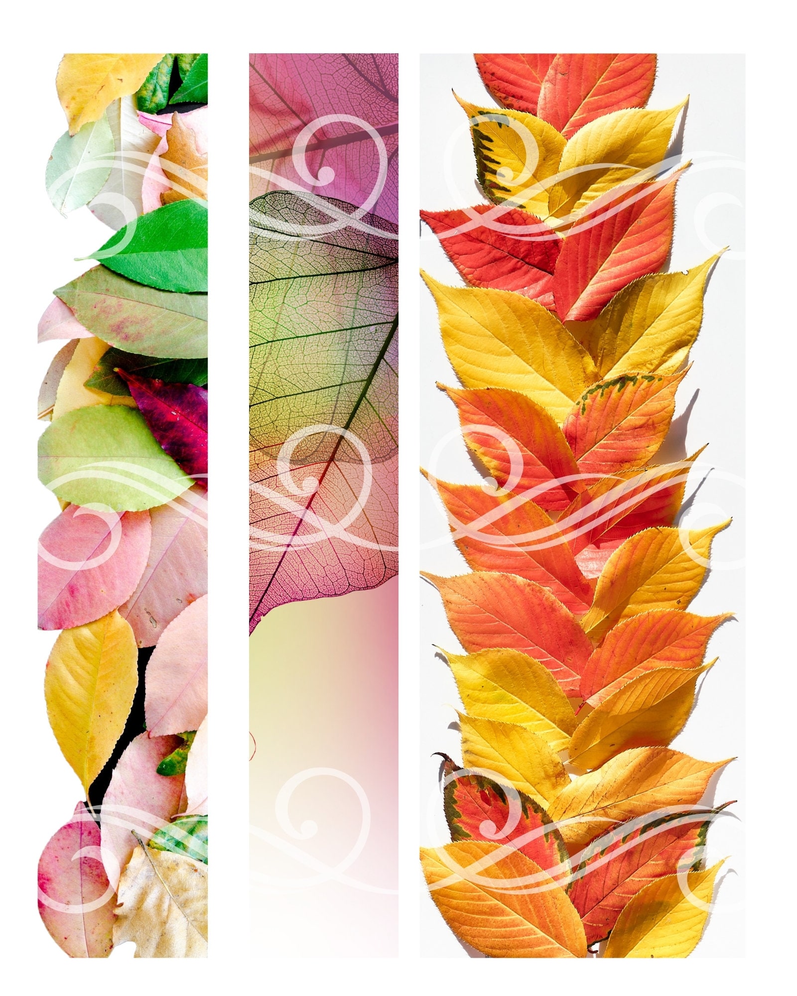 Decorative Page Borders, Printable Borders, Digital Page Borders ...