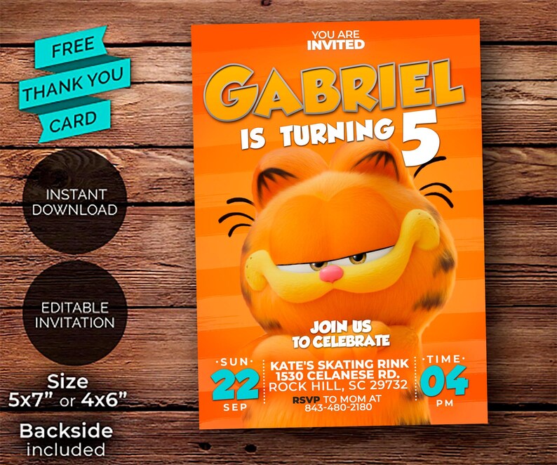 Garfield Birthday Invitation - Etsy