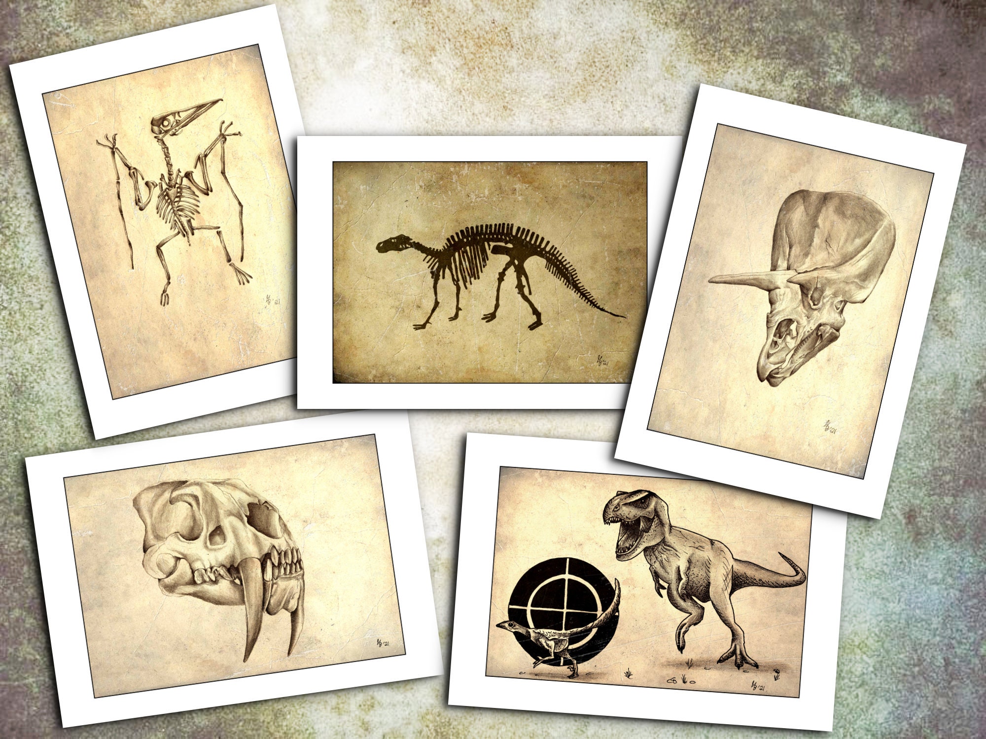 Set of 5 Primeval Times Postcards - Etsy UK