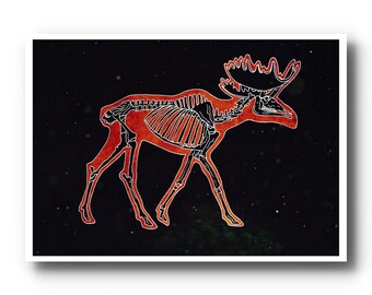 Skeleton Moose - Etsy