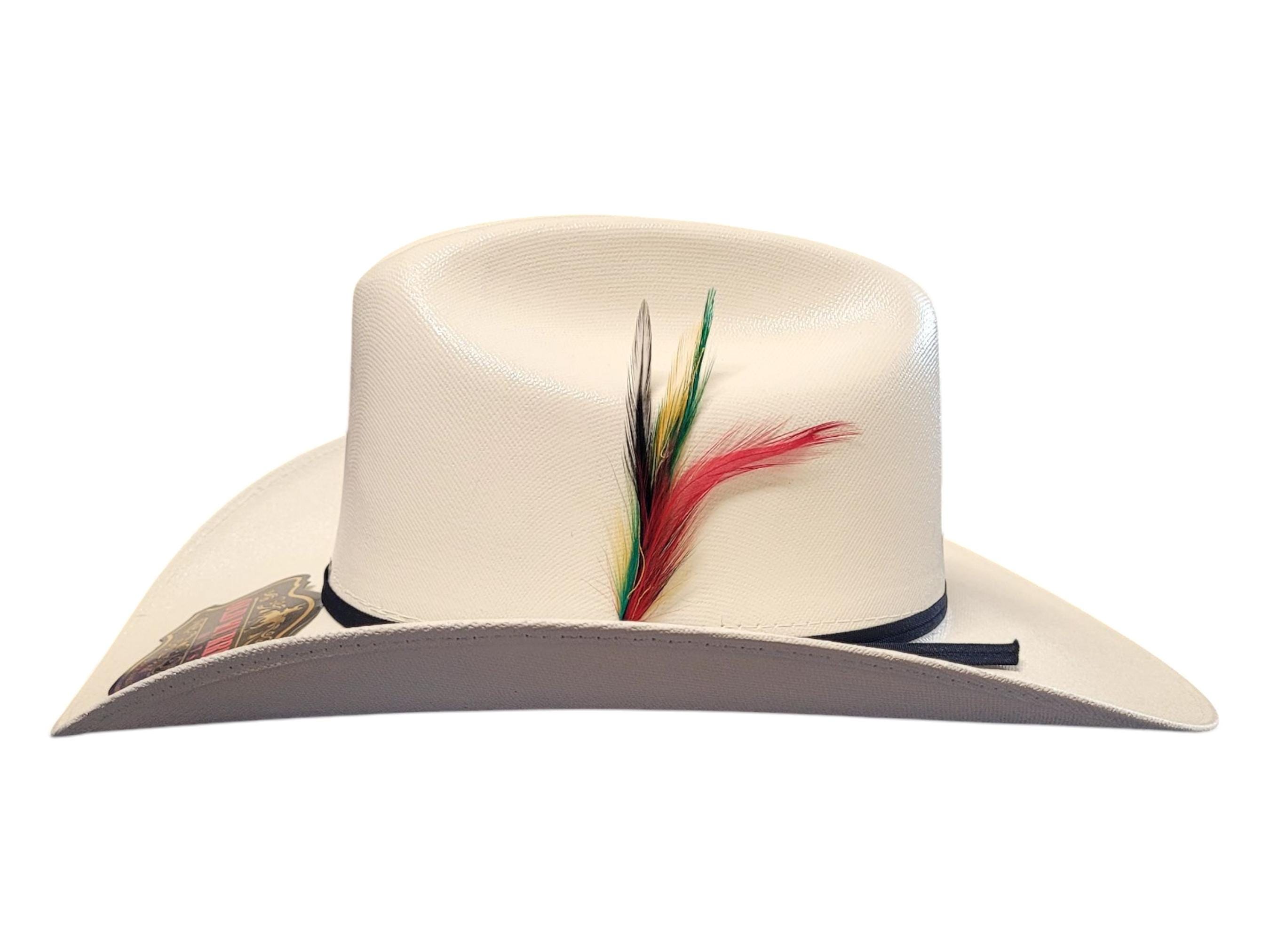 White Sinaloa-style Cowboy Hat With Feather - Etsy