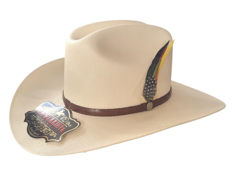 White Sinaloa-style Cowboy Hat With Feather - Etsy