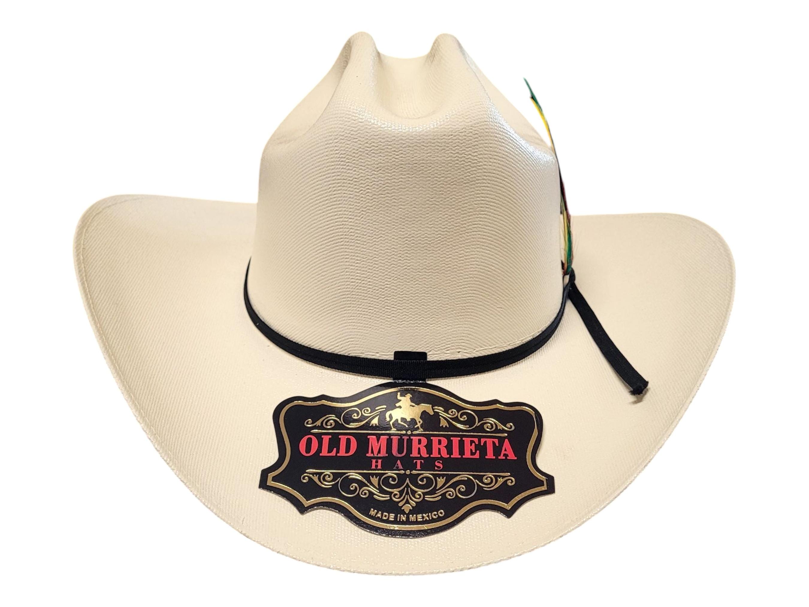 White Sinaloa-style Cowboy Hat With Feather - Etsy
