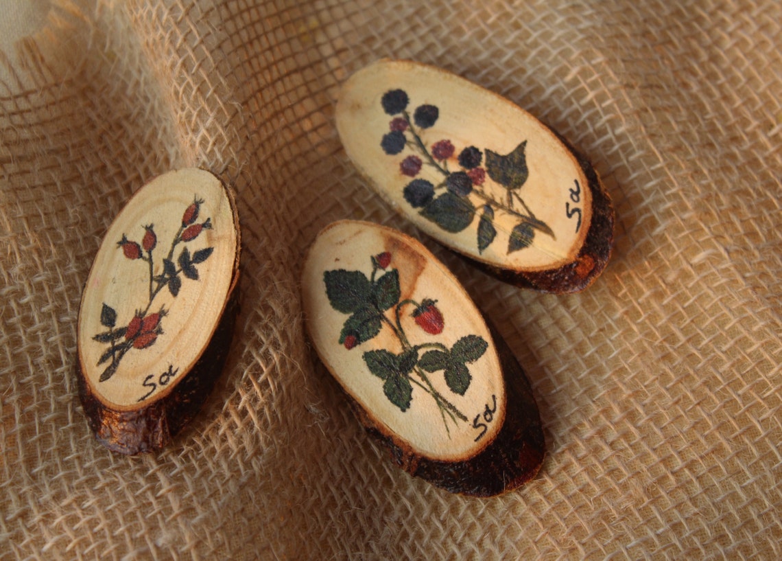 Handpainted Wood Slice Wooden Brooch Pin, Nature Wild Mushrooms Forest ...