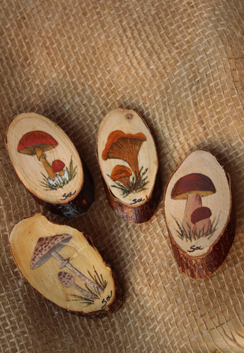 Handpainted Wood Slice Wooden Brooch Pin Nature Wild | Etsy