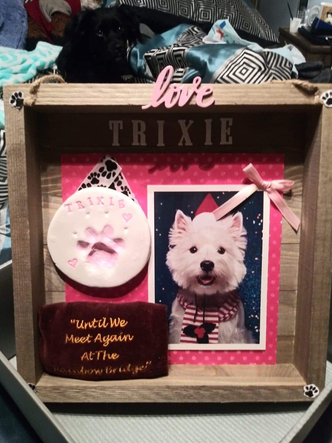 Precious Pet Display Box - Etsy