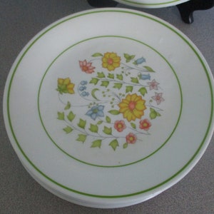 Vintage Corningware Corelle Meadow Pattern Salad Plates, Set of 11 - Etsy